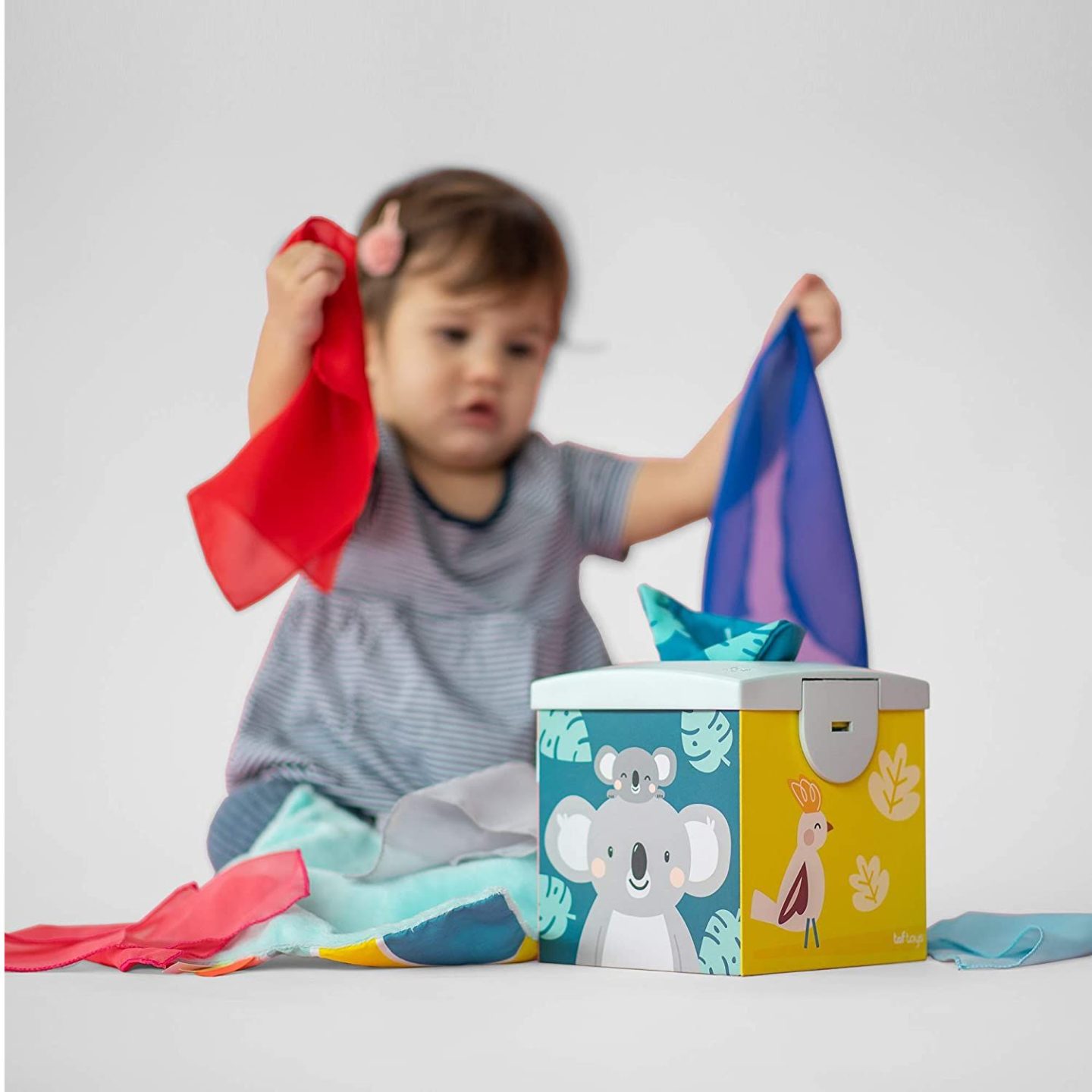 Taf Toys Kimmy Koala Wonder Tissue Box | Taf Toys