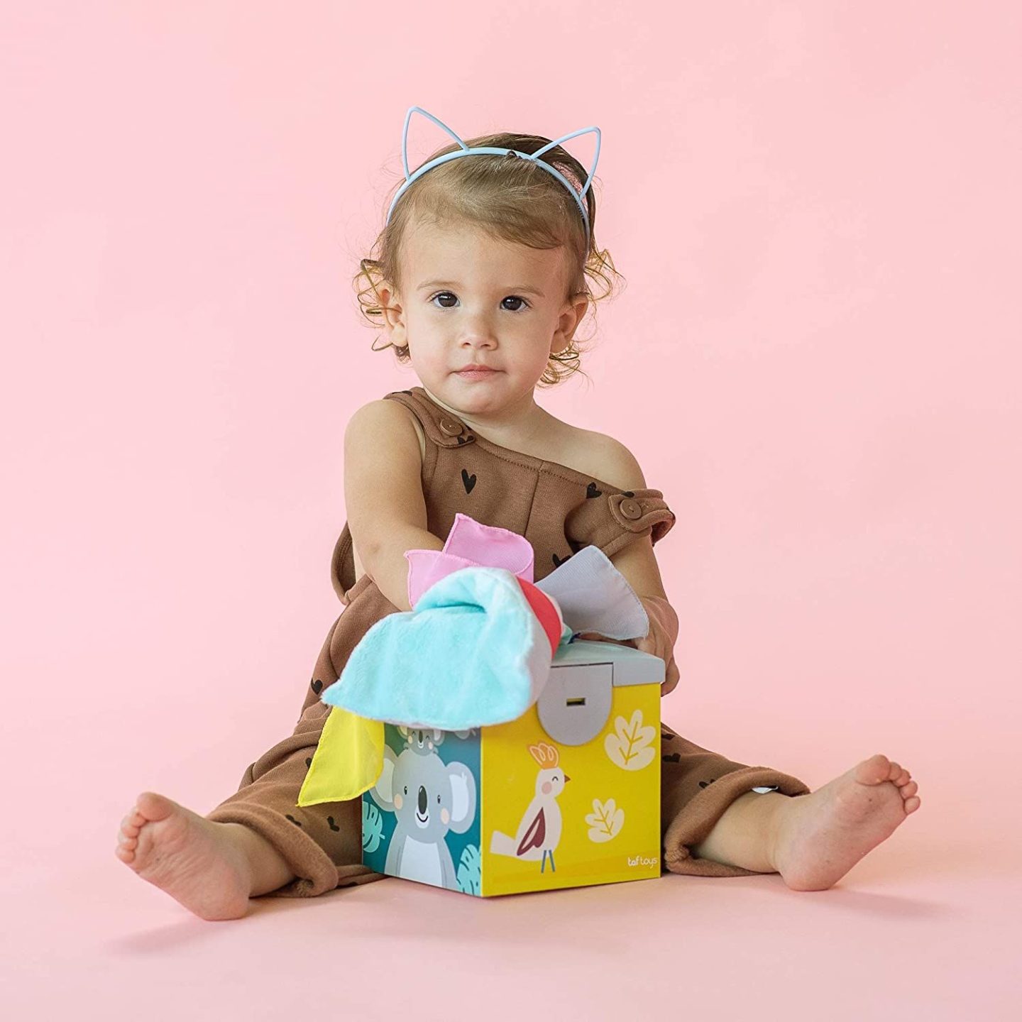 Taf Toys Kimmy Koala Wonder Tissue Box | Taf Toys