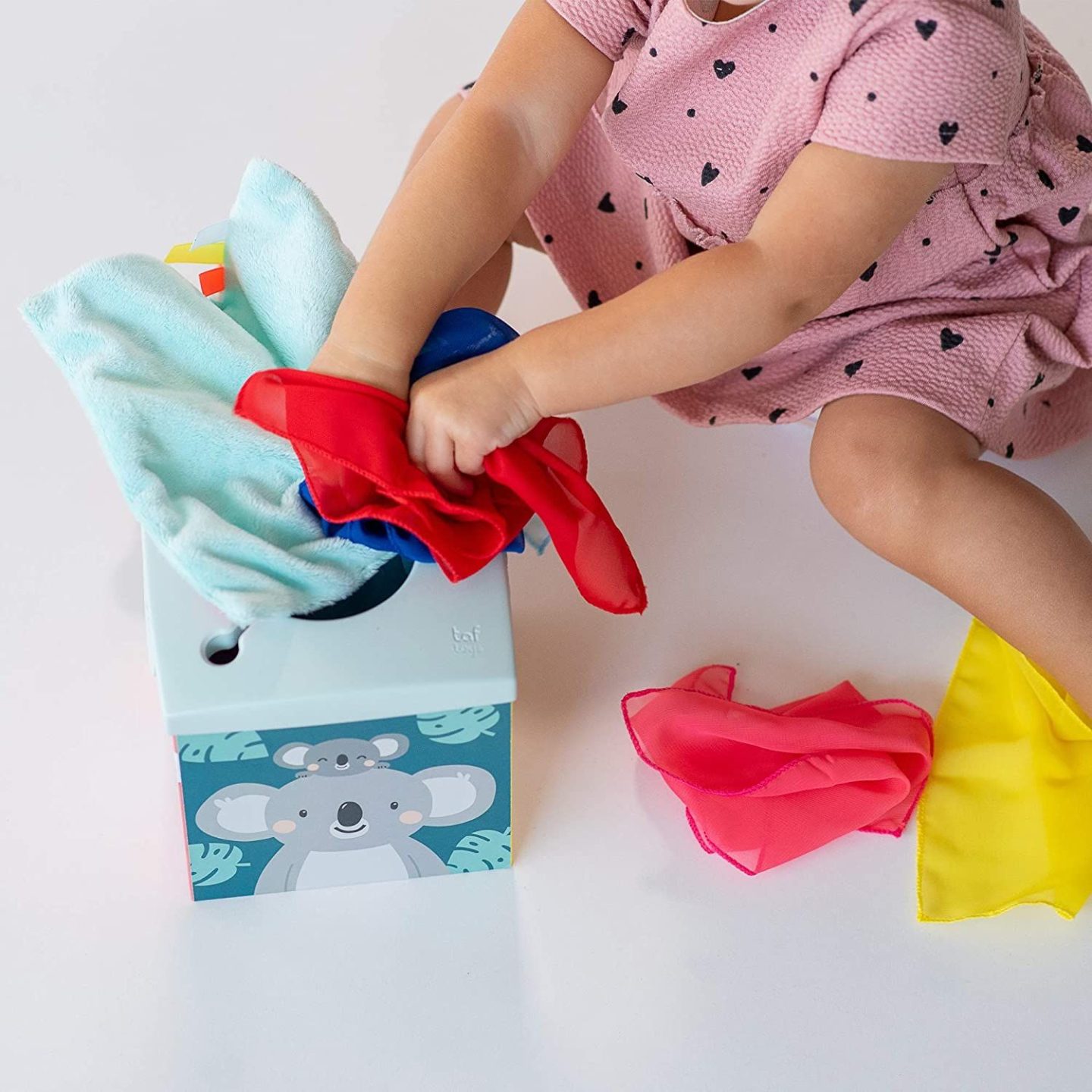 Taf Toys Kimmy Koala Wonder Tissue Box | Taf Toys